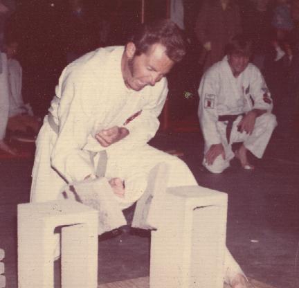 Taiho-Ryu Karate and Jujitsu